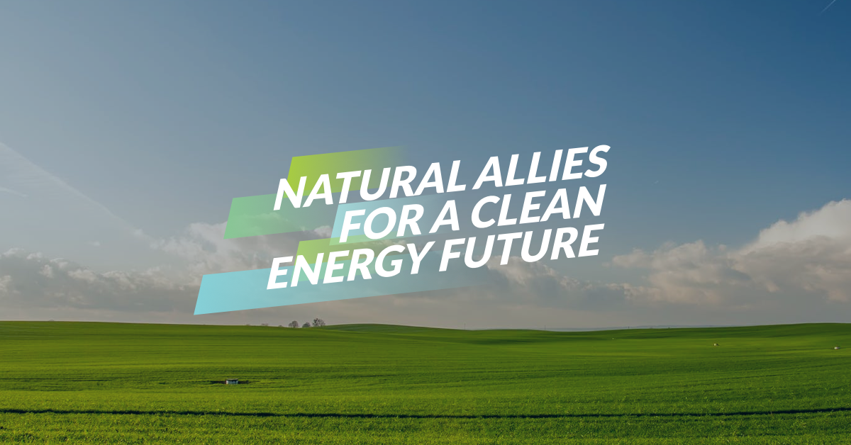 Natural Allies - For a Clean Energy Future